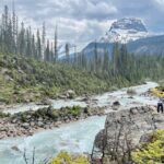 Takakkaw Falls Yoho National Park Bus Tour - Transport, Group Size, and the Practical Side