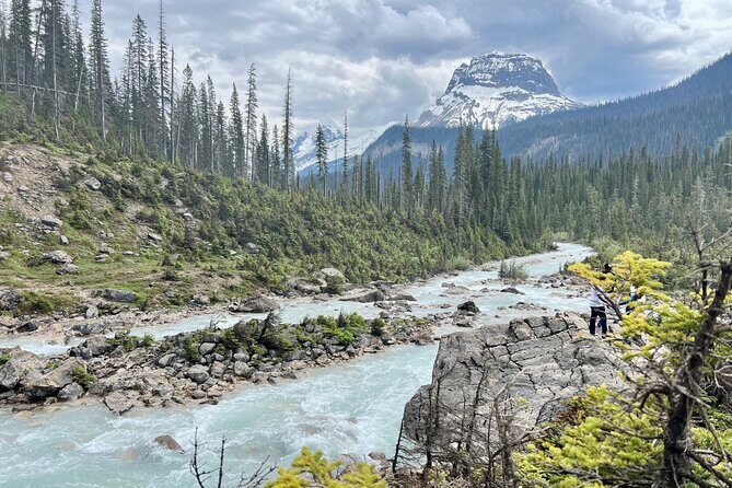 Takakkaw Falls Yoho National Park Bus Tour - Transport, Group Size, and the Practical Side