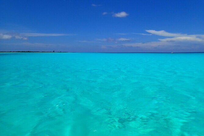 Take a Ride in your Buggie in Cozumel only from Tulum - Itinerary Breakdown