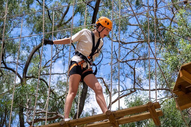 Take the Challenge and Conquer the Salisbury Treetops - The Itinerary in Detail