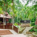 Taman Negara Day Tour with Canopy Walk - Key Points