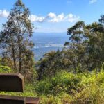 Tamborine Mountain and Paradise Point Tour from Brisbane - FAQs