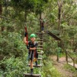 Tamborine Mountain: TreeTop Challenge Adrenaline Pass - Authentic Experiences and What Travelers Say