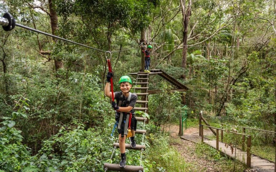 Tamborine Mountain: TreeTop Challenge Adrenaline Pass - Authentic Experiences and What Travelers Say