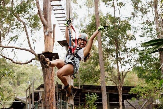 Tamborine Mountain TreeTop Challenge Adventure Park - What Travelers Can Expect