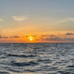 Tampa Bay: Sunset Cruise with Celebrity Homes and Wildlife - What to Expect During Your Cruise
