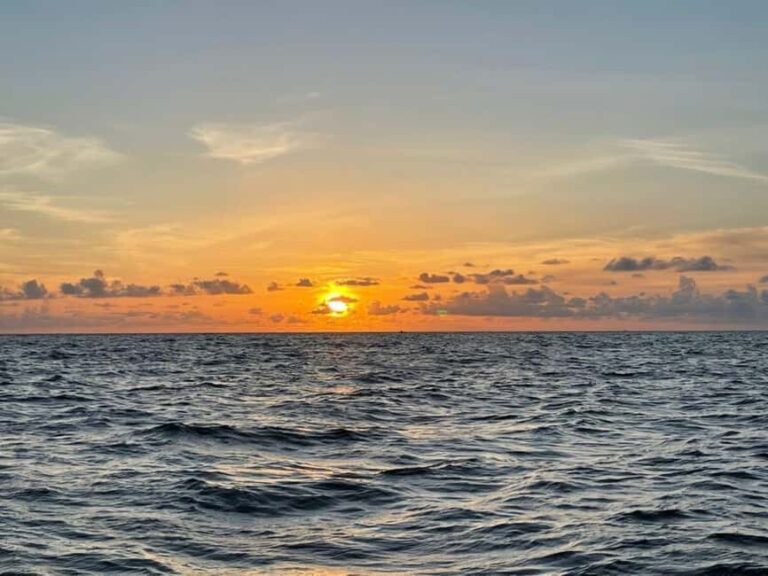 Tampa Bay: Sunset Cruise with Celebrity Homes and Wildlife - What to Expect During Your Cruise