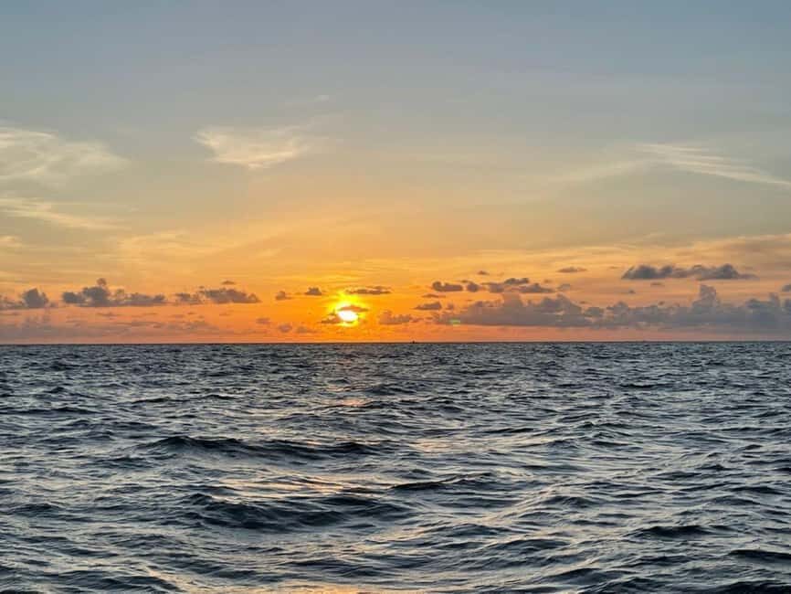 Tampa Bay: Sunset Cruise with Celebrity Homes and Wildlife - What to Expect During Your Cruise