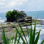 Tanah Lot Temple Tour And Jimbaran beach Sunset Seafood Dinner - Detailed Review: What to Expect from This Bali Day Trip