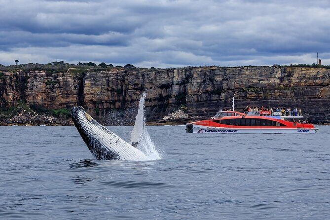 Taronga Zoo & Whale Watching Cruise Combo - Sydney Harbour - Analyzing the Cost and Value
