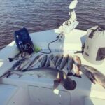 Tarpon Springs: Private Guided Gulf of Mexico Fishing Tour - Who Will Love This Tour?