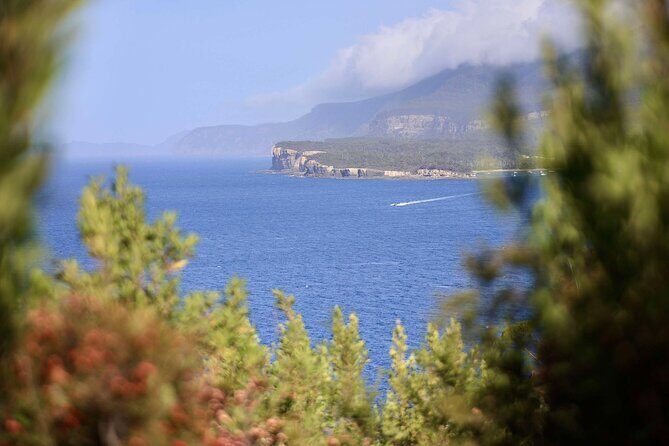 Tasman Peninsula Small-Group Guided Tour From Hobart - Frequently Asked Questions