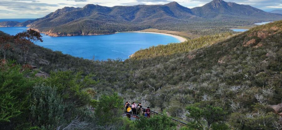 Tasmania: 6-Day Comfort Tour for Wilderness and Wildlife - A Day-by-Day Breakdown