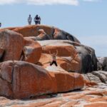 Tasmania: 7-Day West to East Tour - Day 1: Hobart to Strahan — Gateway to Wilderness
