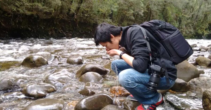 Tasmania: Wilderness and Wildlife Guided 6-Day Tour - Detailed Itinerary Breakdown