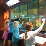 Taste Hawke's Bay - A Sweet treat food Tour - The Itinerary in Detail