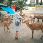 Taste of Nara A Guided Half Day Food Tour Tailored to Your Taste - Who should consider this tour?