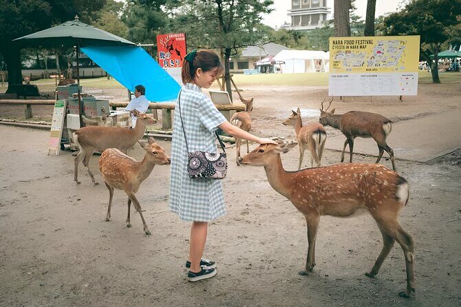 Taste of Nara A Guided Half Day Food Tour Tailored to Your Taste - Who should consider this tour?