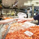Taste of Sydney Tour - Authentic Feedback from Past Travelers