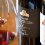 Taste of Tuscany San Gimignano Winery with Transfer from Florence - Practical Details and Value Analysis