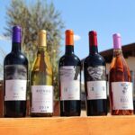 Tasting of 5 wines and tour at the winery Rondo del Valle - Authentic Moments and Authentic Wines