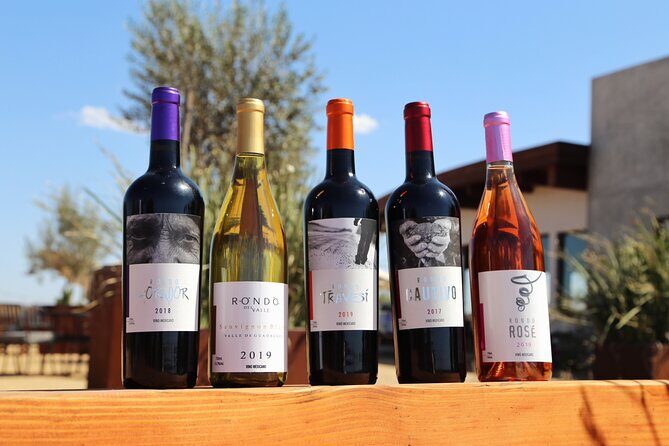 Tasting of 5 wines and tour at the winery Rondo del Valle - Authentic Moments and Authentic Wines