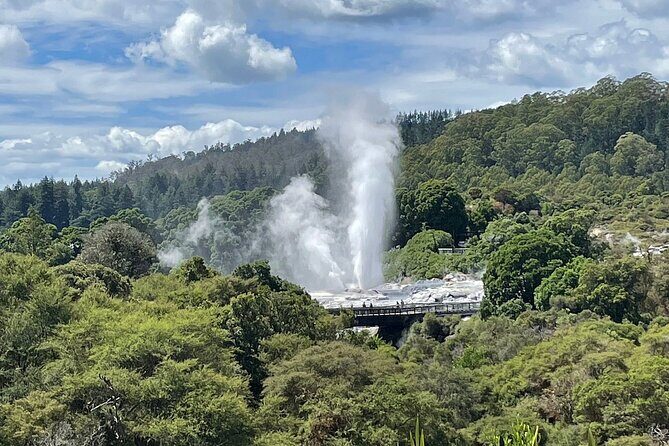 Taup to Auckland via Rotorua and Hobbiton - Hobbiton: A Movie-Lover’s Dream