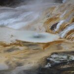Taupo Day Trip with Orakei Korako or Waiotapu from Rotorua - Authentic Character & Review Highlights
