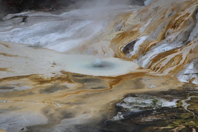 Taupo Day Trip with Orakei Korako or Waiotapu from Rotorua - Authentic Character & Review Highlights