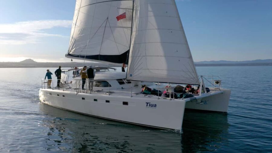 Taupo: Mori Rock Carvings Lake Taupo Catamaran Tour - The Value of the Experience