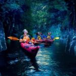 Tauranga: Evening Glowworm Kayak Tour - Frequently Asked Questions