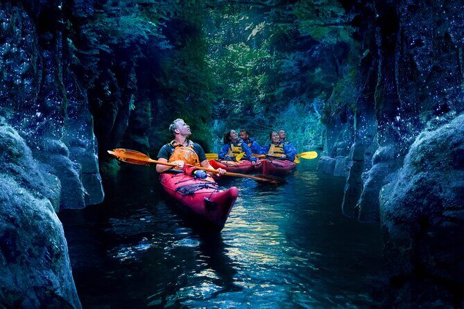 Tauranga: Evening Glowworm Kayak Tour - Frequently Asked Questions