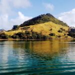 Tauranga Harbour Cruise - Final Thoughts: Who Will Love This Cruise?