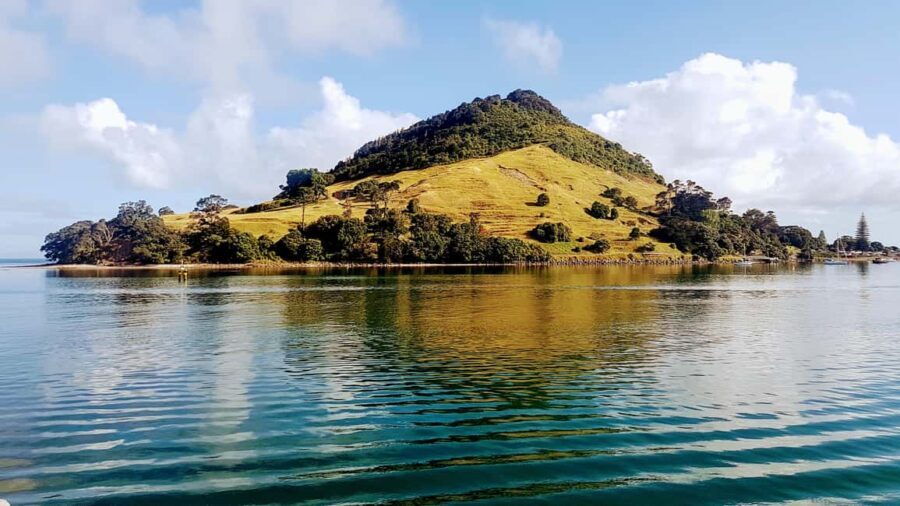 Tauranga Harbour Cruise - Final Thoughts: Who Will Love This Cruise?
