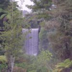 Tauranga: Kiwifruit Destination and Sights Shore Excursion - The Logistics & Value