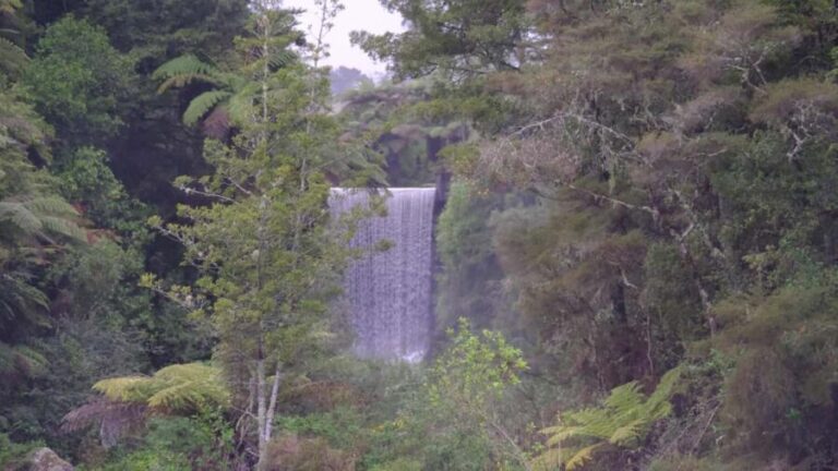 Tauranga: Kiwifruit Destination and Sights Shore Excursion - The Logistics & Value