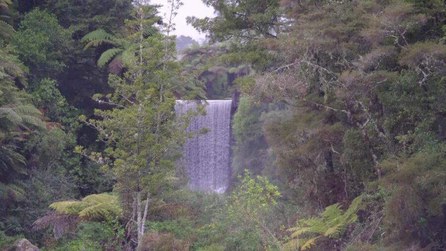 Tauranga: Kiwifruit Destination and Sights Shore Excursion - The Logistics & Value