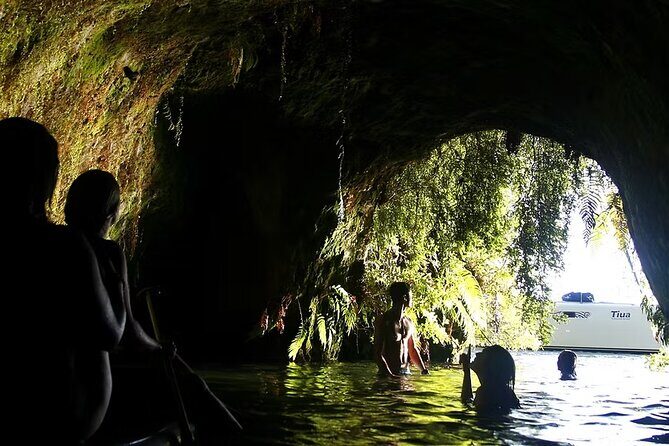 Tauranga Port - Pure Cruise Rotoiti Lake, Glowworms & Hells Gate - Lunch and Relaxation on the Water