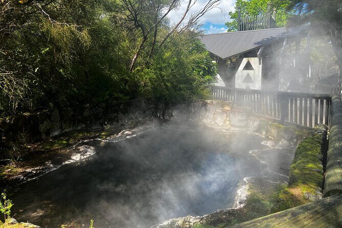 Tauranga Shore Excursion: Rotorua Highlights Tour - Practical Details & Traveler Tips