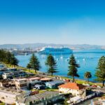 Tauranga Shore Excursion: Small-Group Bay of Plenty and Tauranga Tour - Detailed Breakdown of the Itinerary