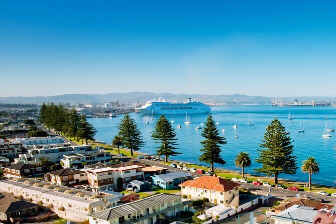 Tauranga Shore Excursion: Small-Group Bay of Plenty and Tauranga Tour - Detailed Breakdown of the Itinerary