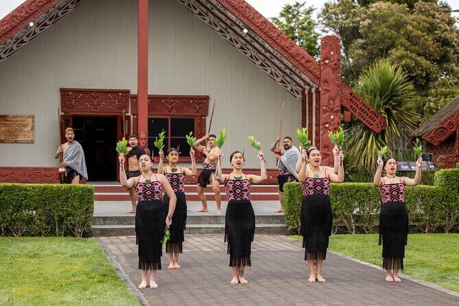 Tauranga Shore Excursion Te Puia Rotorua - Final Thoughts