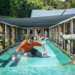 Tauranga: Waimarino Adventure Park - The Experience in Detail