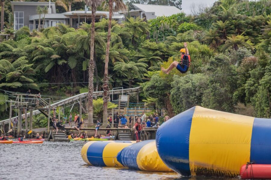 Tauranga: Waimarino Adventure Park Supreme Pass Entry Ticket - The Realities of Visiting Waimarino