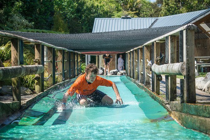 Tauranga: Waimarino Adventure Park - The Experience in Detail