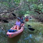 Tavernier, FL: Mangrove and Manatees Guided Kayak Eco Tour - Gear, Comfort, and Practicalities