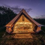 Tawharanui: Kiwi Spotting & Stargazing Tour w/ Optional Stay - Overview of the Experience