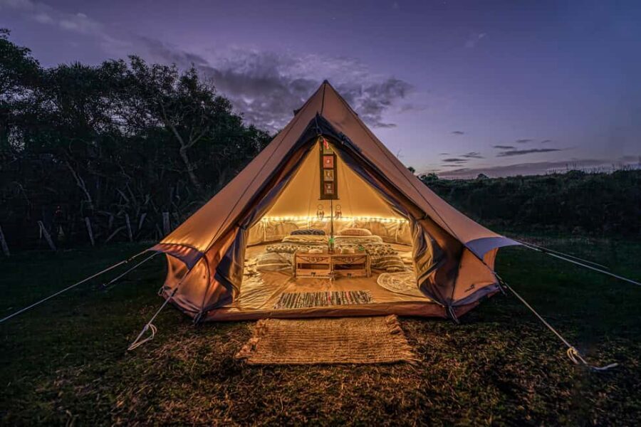 Tawharanui: Kiwi Spotting & Stargazing Tour w/ Optional Stay - Overview of the Experience