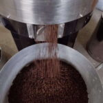Taxco: Organic Coffee Garden Experience - A Closer Look at the Cacalotenango Coffee Garden Experience