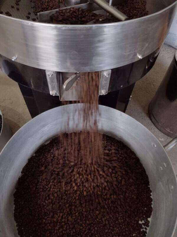 Taxco: Organic Coffee Garden Experience - A Closer Look at the Cacalotenango Coffee Garden Experience